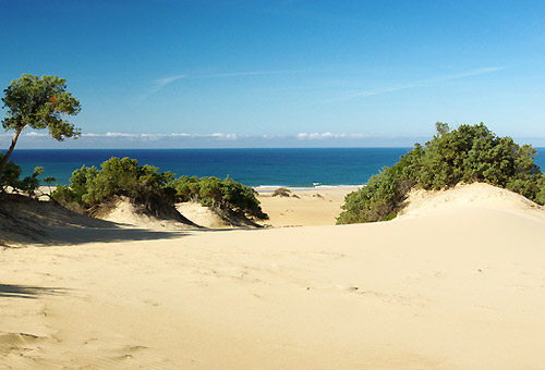 La Costa Verde