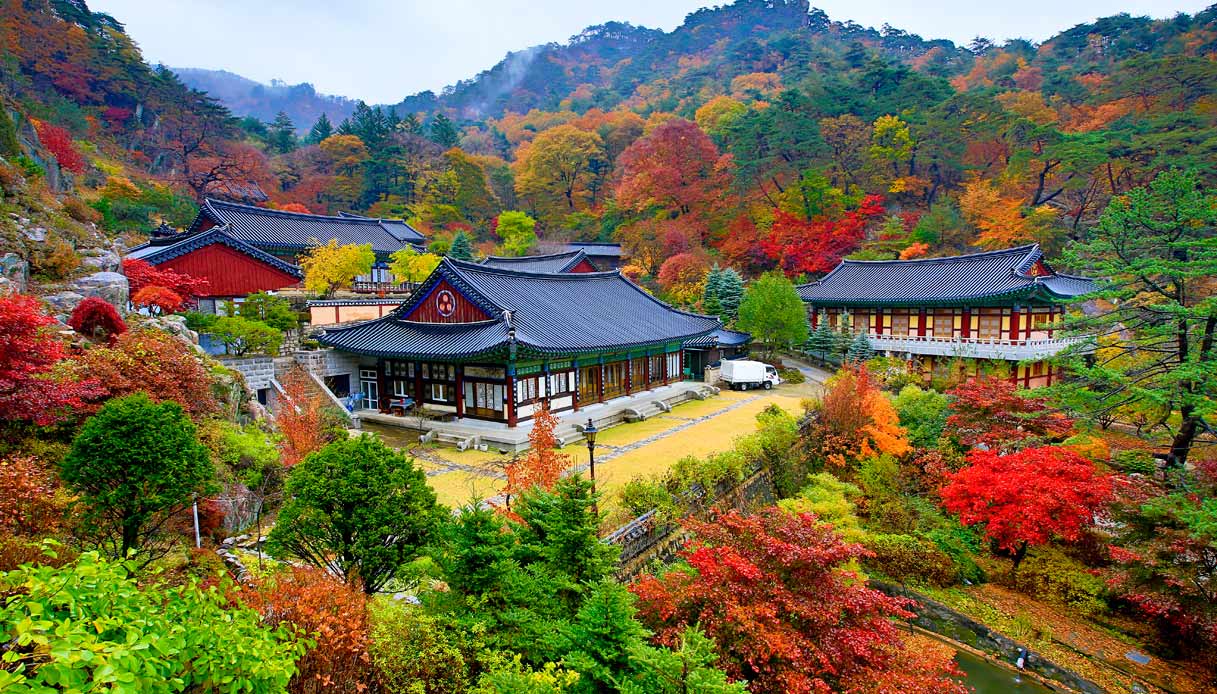 Guida della Corea del Sud: info e consigli | SiViaggia