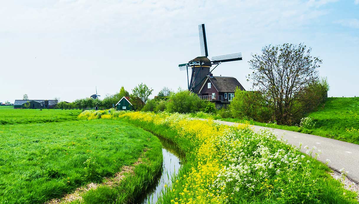 Perché visitare i Paesi Bassi e che cosa bisogna assolutamente vedere