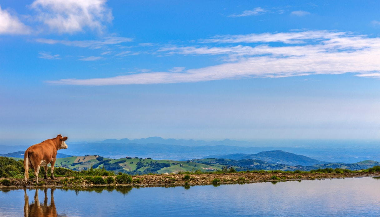 Lessinia, i più bei sentieri di trekking tra i paesini e le malghe