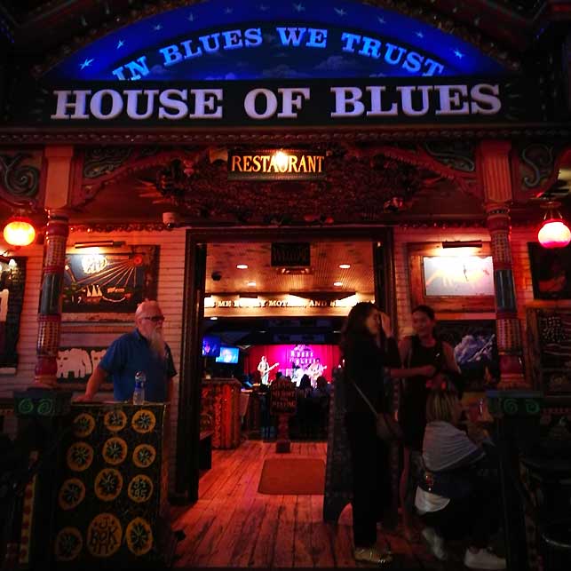 Chicago, la città della musica e del blues