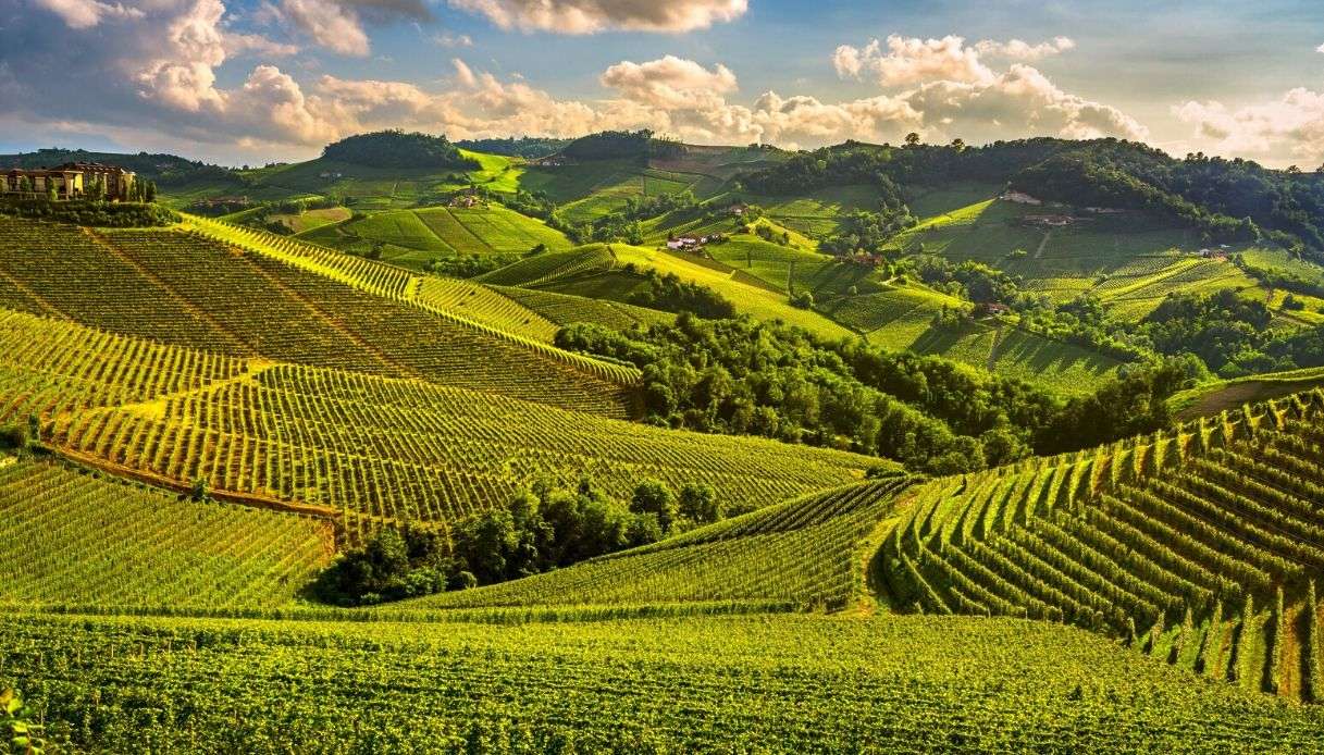 Viaggio alla scoperta delle Langhe, nel cuore del Piemonte