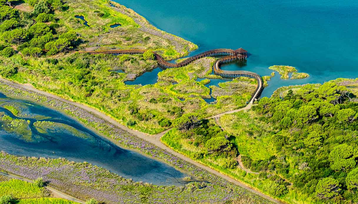 Cosa vedere sull'isola di Albarella, in Veneto