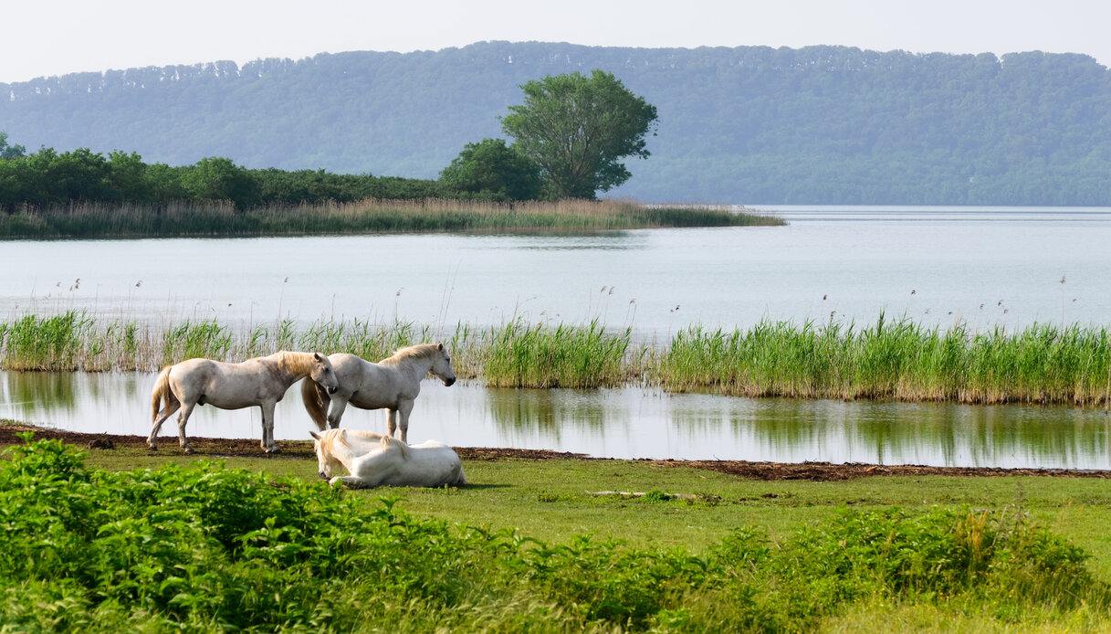 Il Lago di Vico è il migliore di tutta Italia: dove si trova e perché