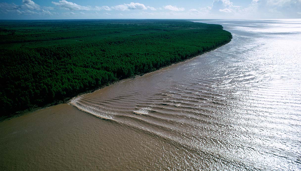 Pororoca: l’onda infinita del Rio delle Amazzoni