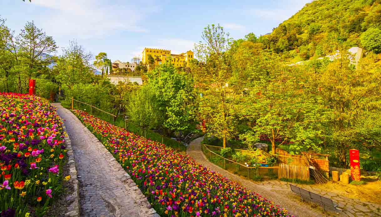 Giardini di Castel Trauttmansdorff 2026: cosa vedere, orari e prezzi