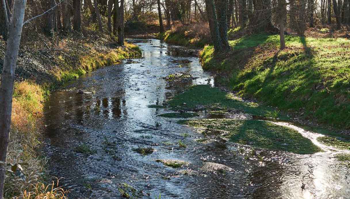 Cammini d'Acqua: l'itinerario dei Fontanili