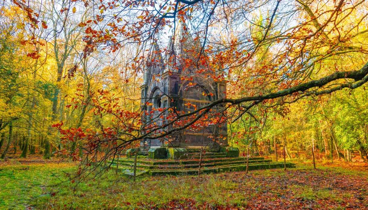 Il Bosco di Biancaneve si trova in Italia: come raggiungerlo