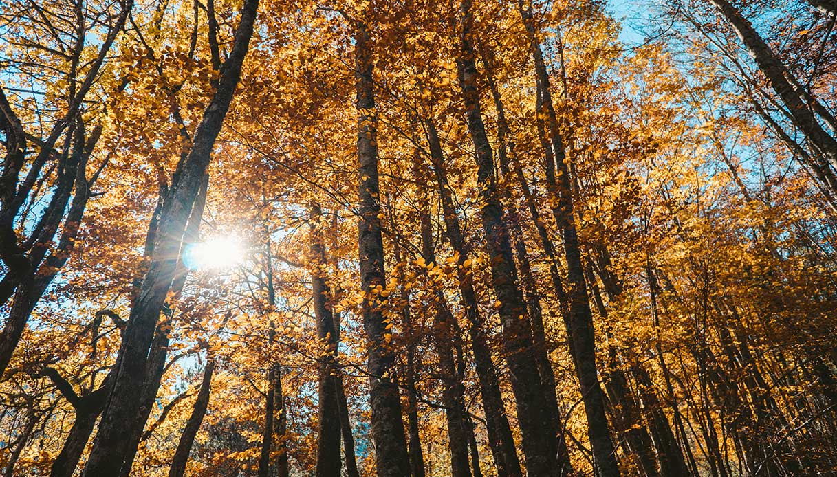 Passeggiate per i Monti Cimini in Autunno