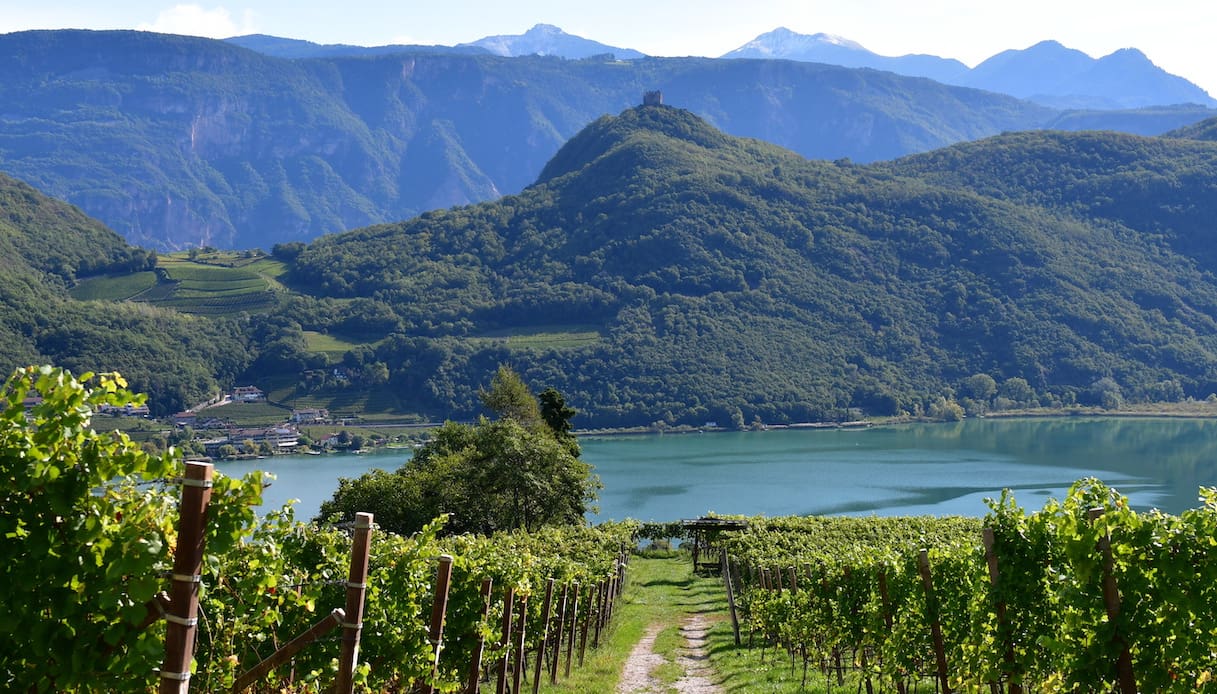 Il lago di Caldaro, una bellezza della natura
