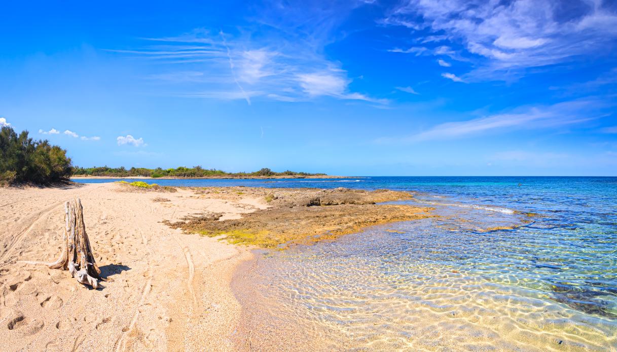 Spiaggia di Torre Guaceto: come arrivare e cosa sapere