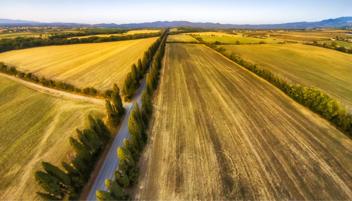 Viale dei Cipressi: una delle strade più belle del mondo
