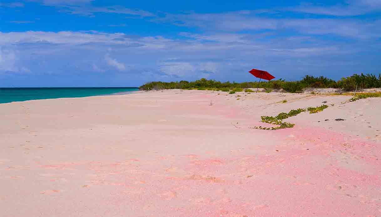 Spiagge Rosa Di Barbuda