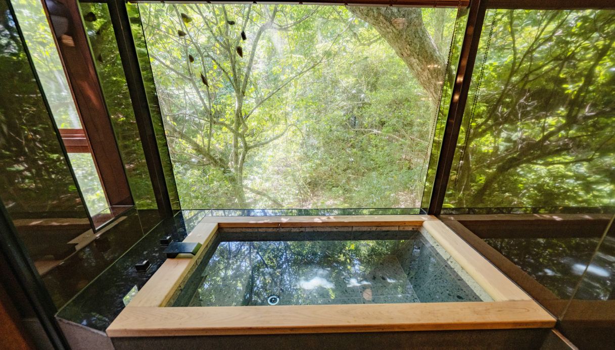 Il resort più bello del mondo è una casa sull’albero nella foresta