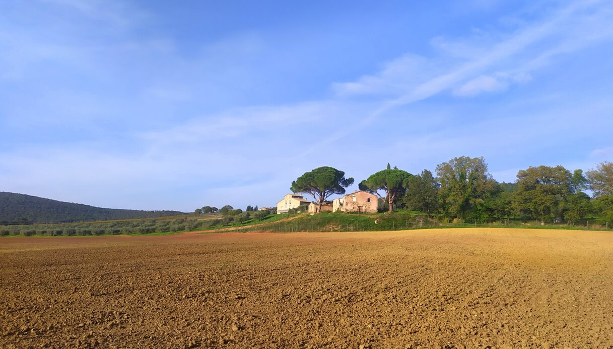 Toscana, relax tra natura e antiche leggende al Lago dell'Accesa