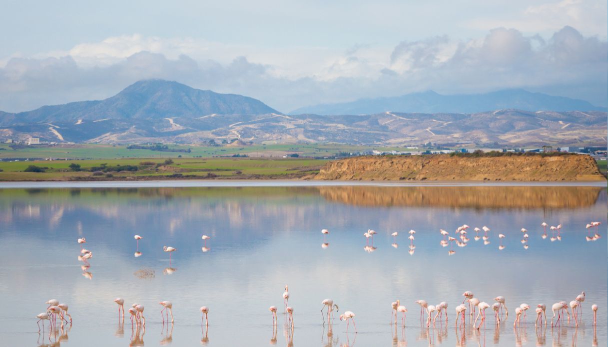 Larnaca, cosa vedere e cosa fare