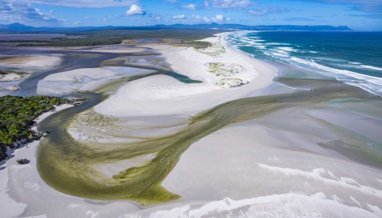 Hermanus, cosa vedere nei dintorni di Città del Capo