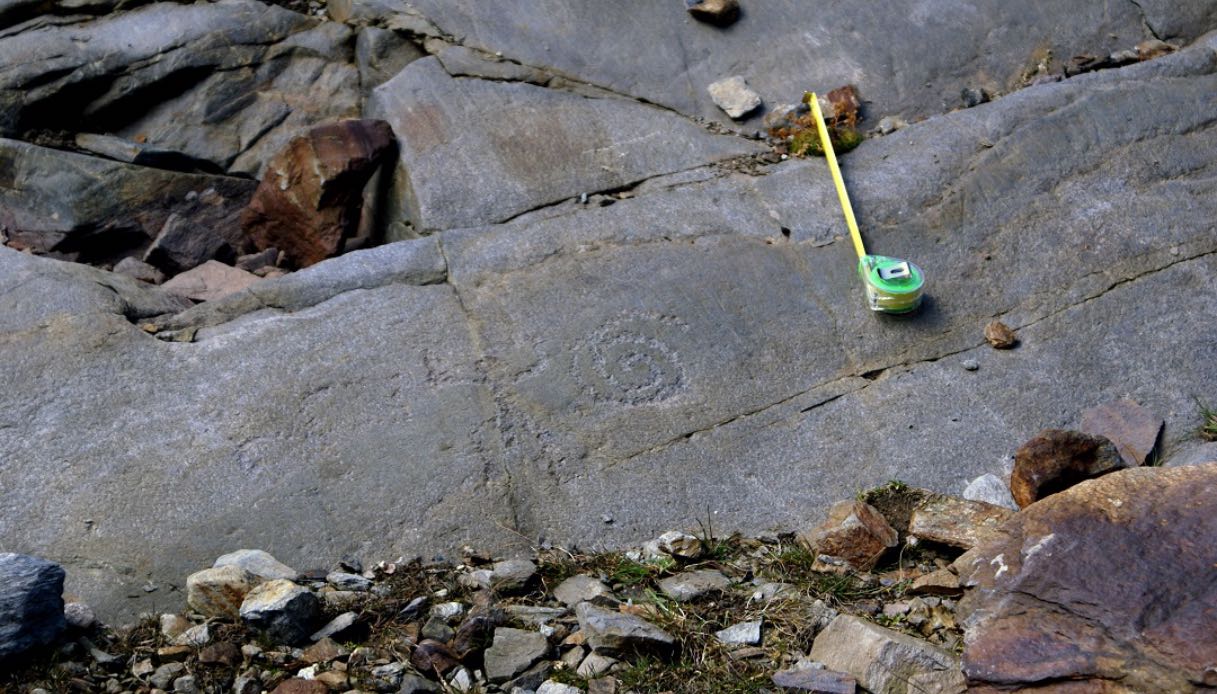 Le incisioni scoperte a Parco Stelvio, in Lombardia