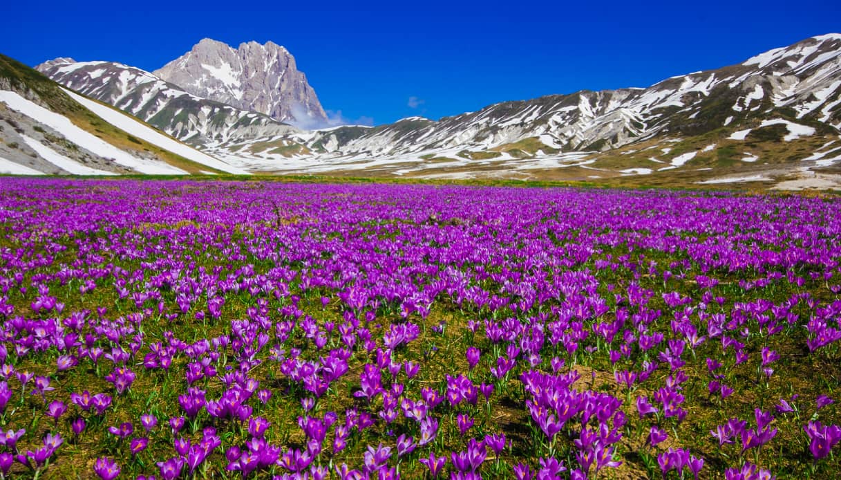 Guida dell’Abruzzo: informazioni sulla Regione | SiViaggia
