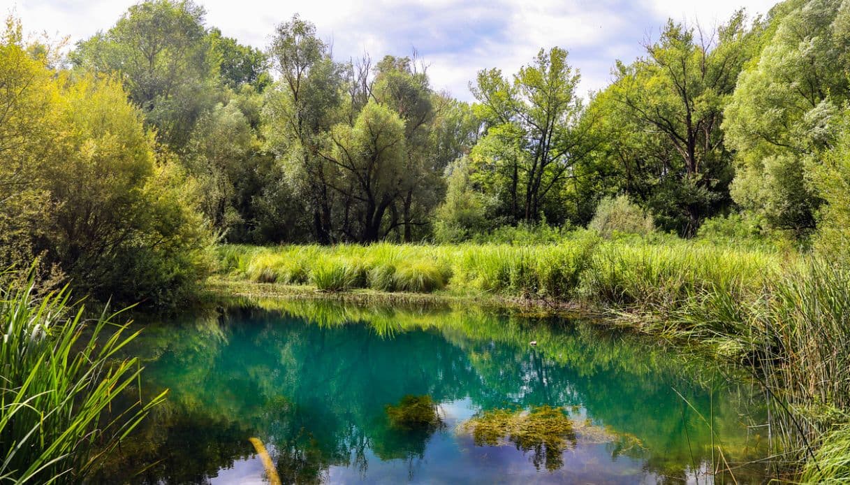 Alla scoperta dei Laghi di Doberdò, rarità del Friuli Venezia Giulia