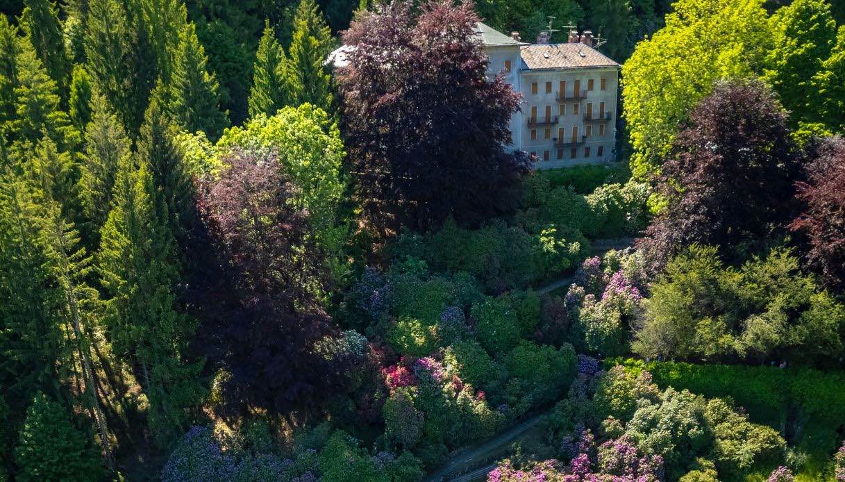 Conca dei Rododendri nell'Oasi Zegna: come raggiungerla e quando andare