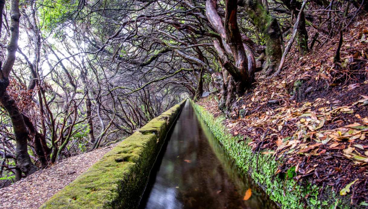 Madeira, l'isola dei trekking: 22 percorsi imperdibili