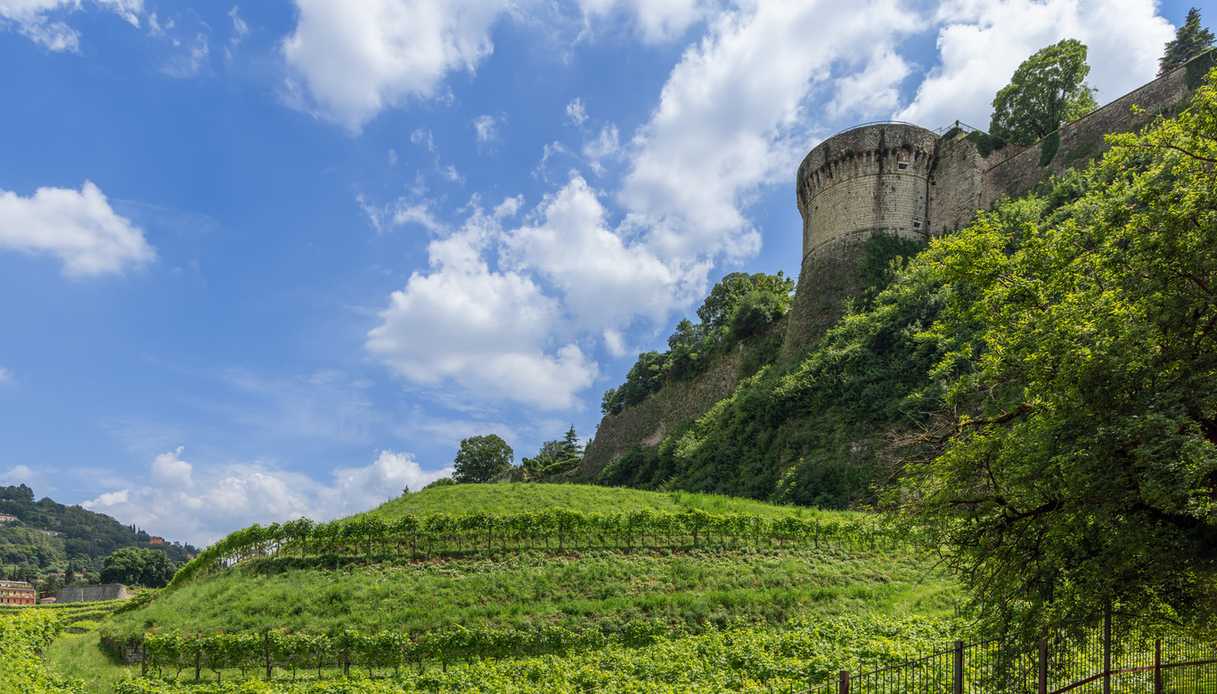 Passeggiate tra vigne urbane in Italia: storia, vino e panorami unici